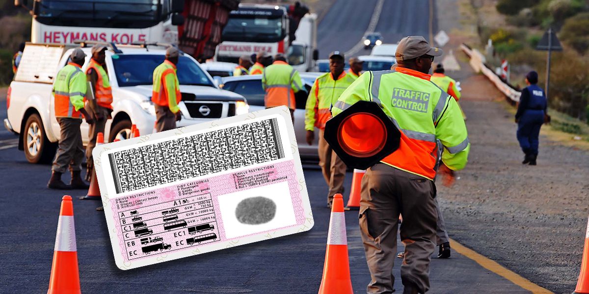 Corruption, chaos, fake licences, officials and opportunists ripping ...